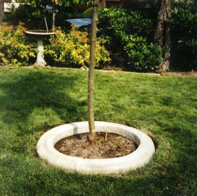 Concrete Tree Rings - Creative Edging of Spokane